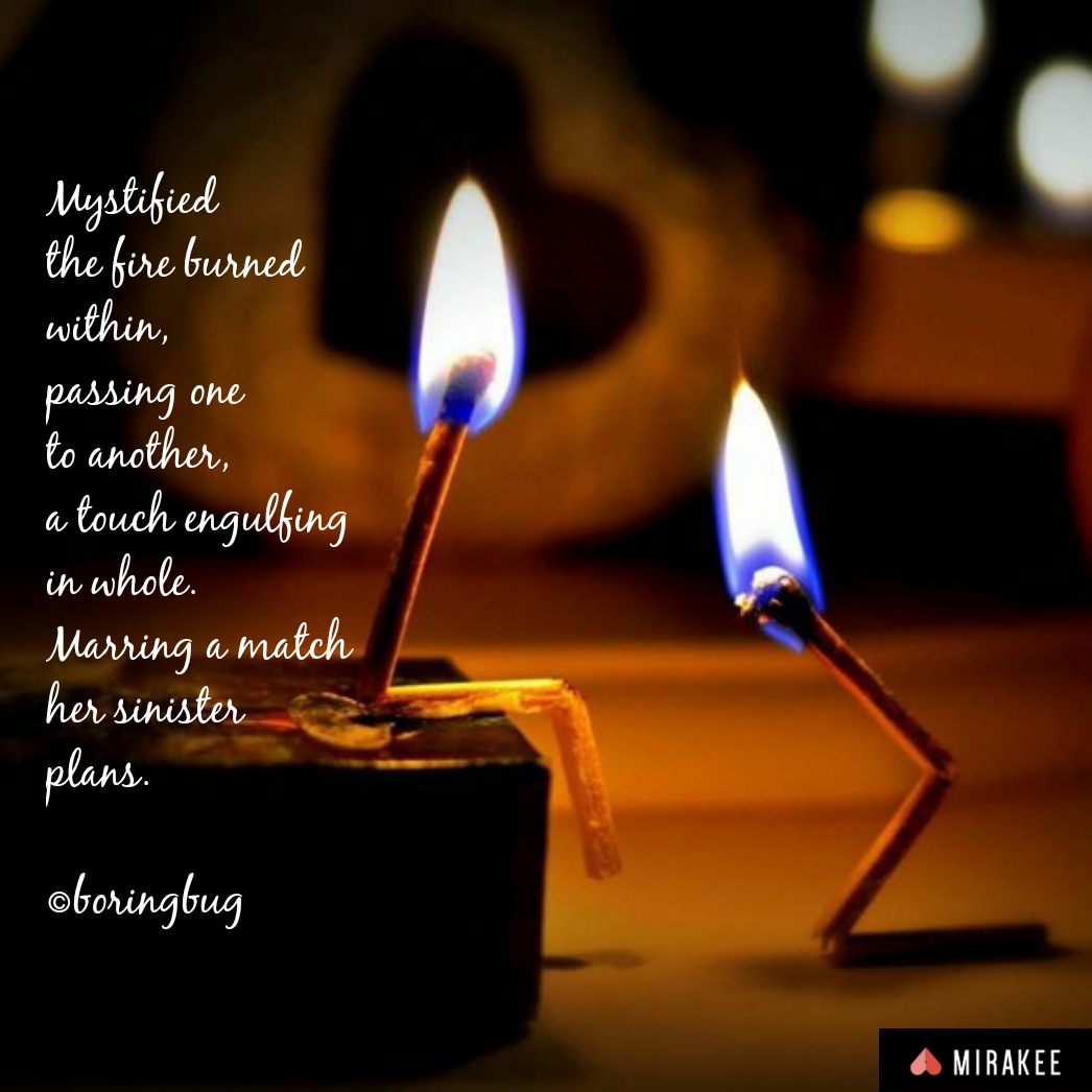The Fire Within – The Boringbug