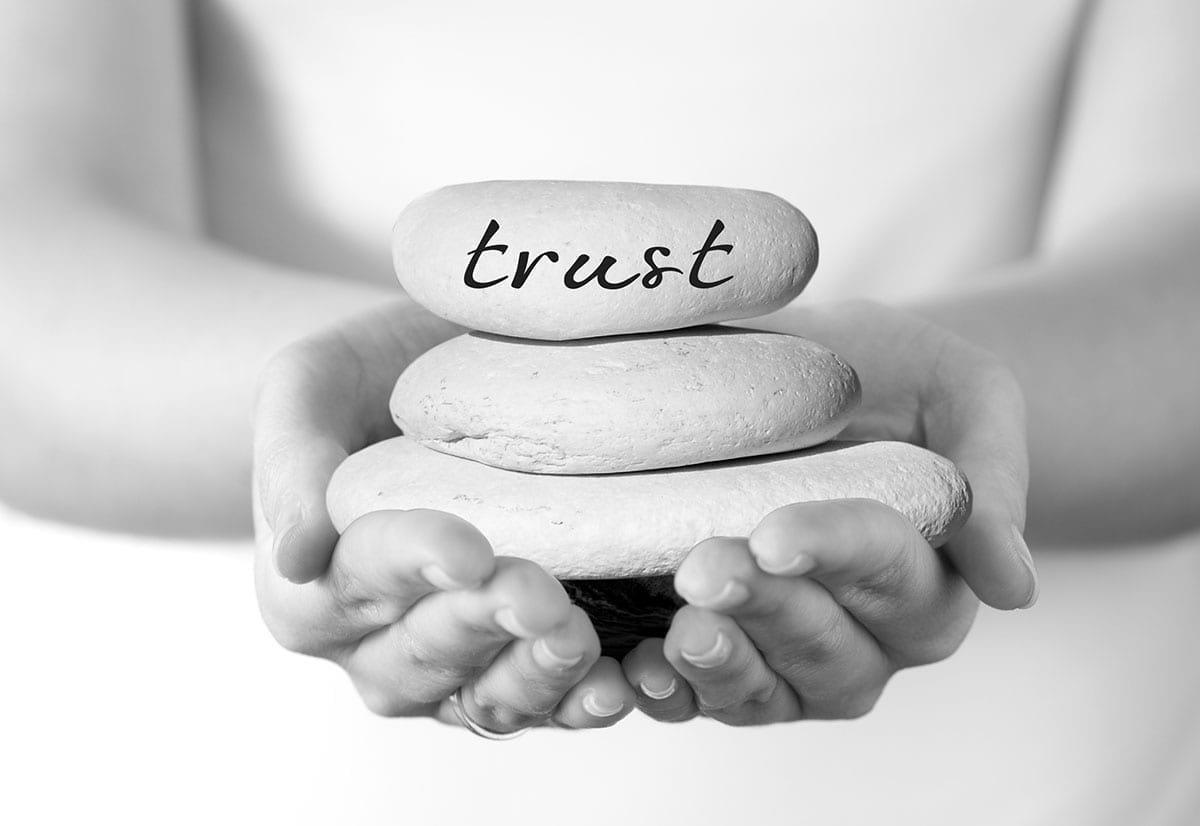 Trust – The Boringbug